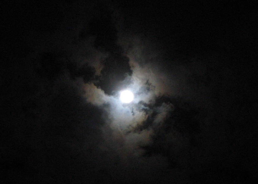 Magical Art for Halloween – Hunter’s Moon collages and a magic fantasy ...