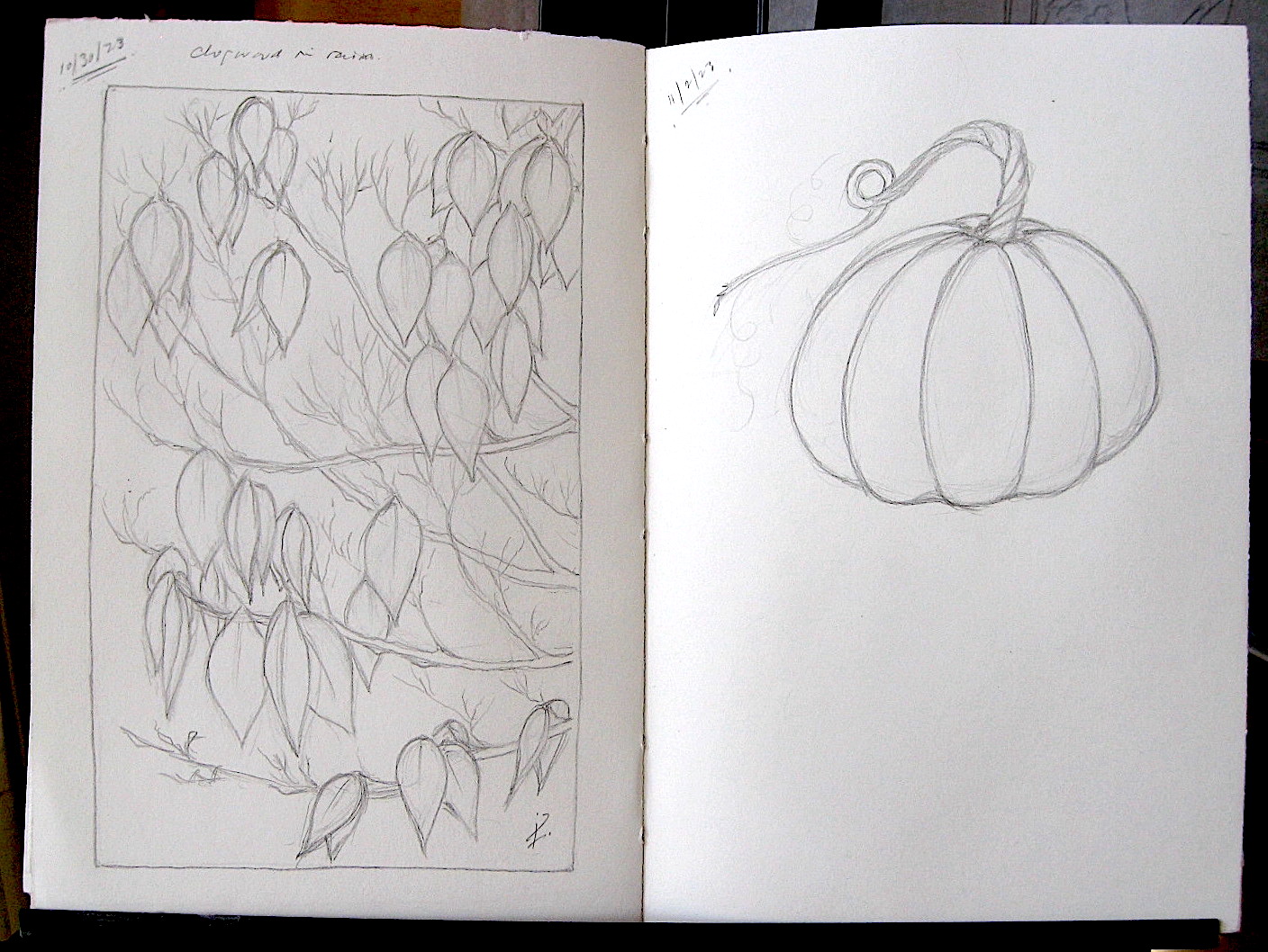 The Month that was November – Jen Fries Arts