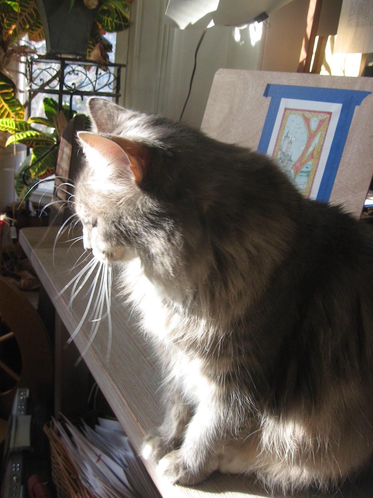 The Month that was November – Jen Fries Arts